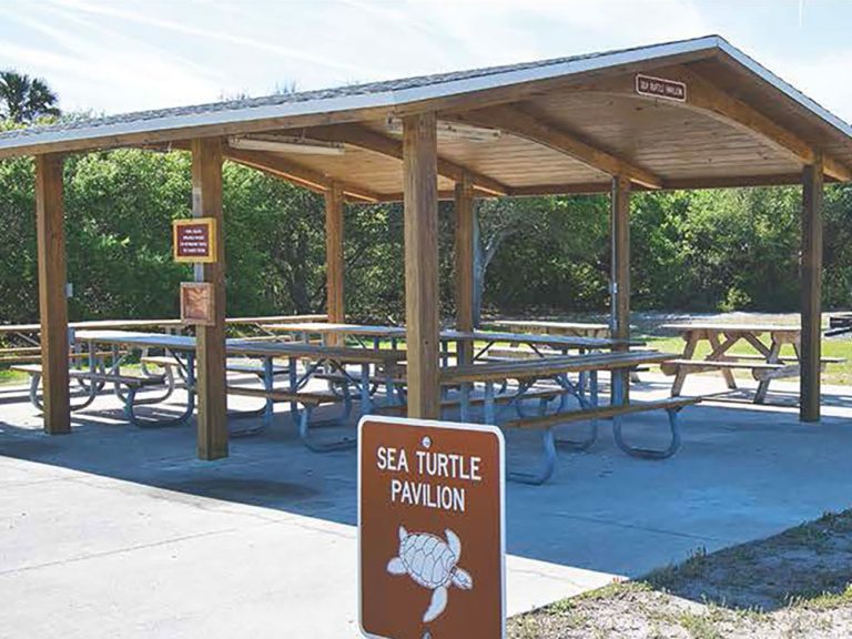 Sea Turtle ADA Playground Project – Friends of Anastasia State Park